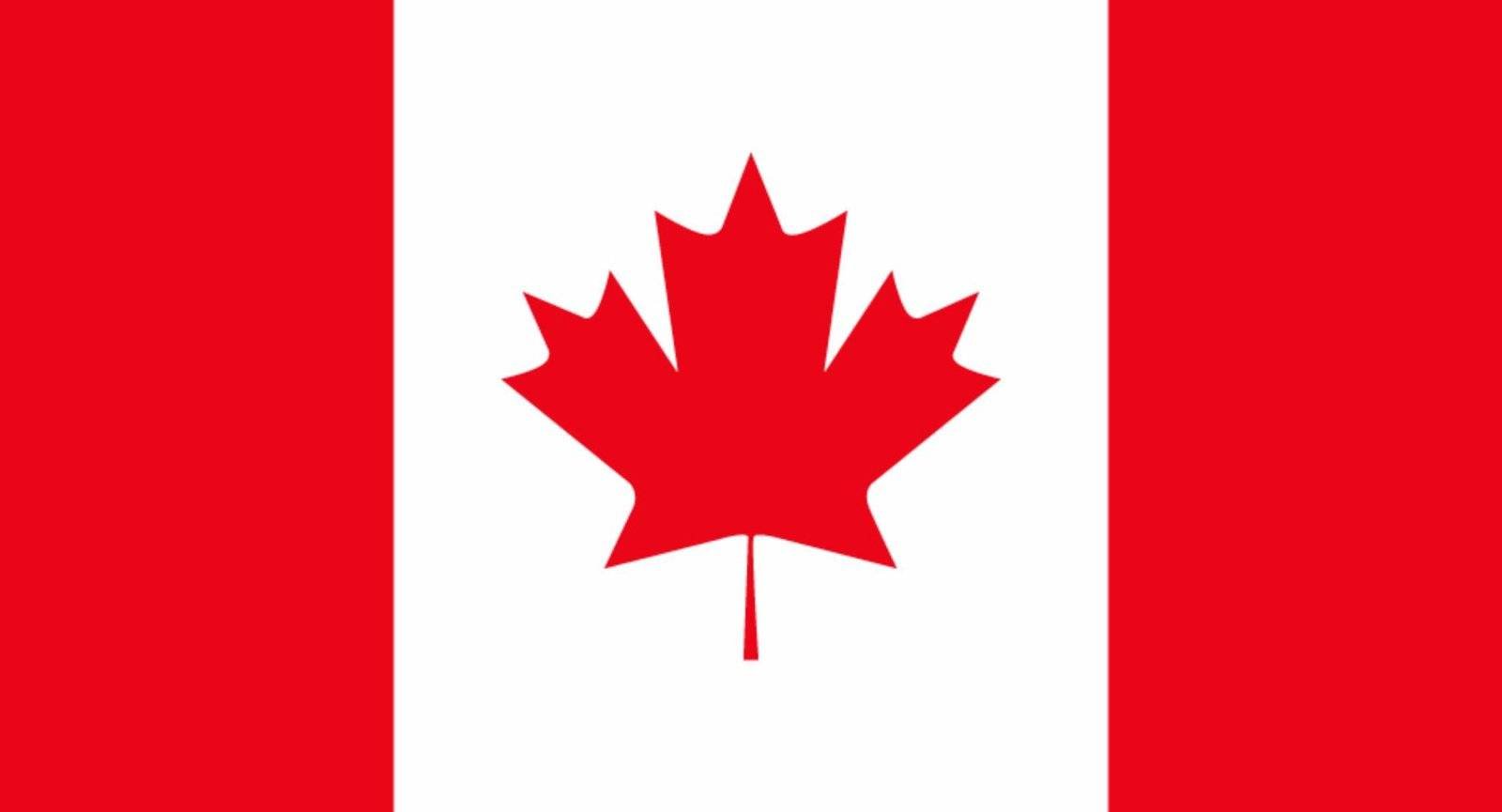 Power Lift Chair Rental in Canada: Costs, Benefits & How to Choose the ...